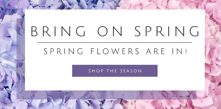 Florist Hollywood Florida - Same-day Flower Delivery - Al's Florist