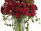Florist Hollywood, Florida - Same-day Flower Delivery - Al's Florist